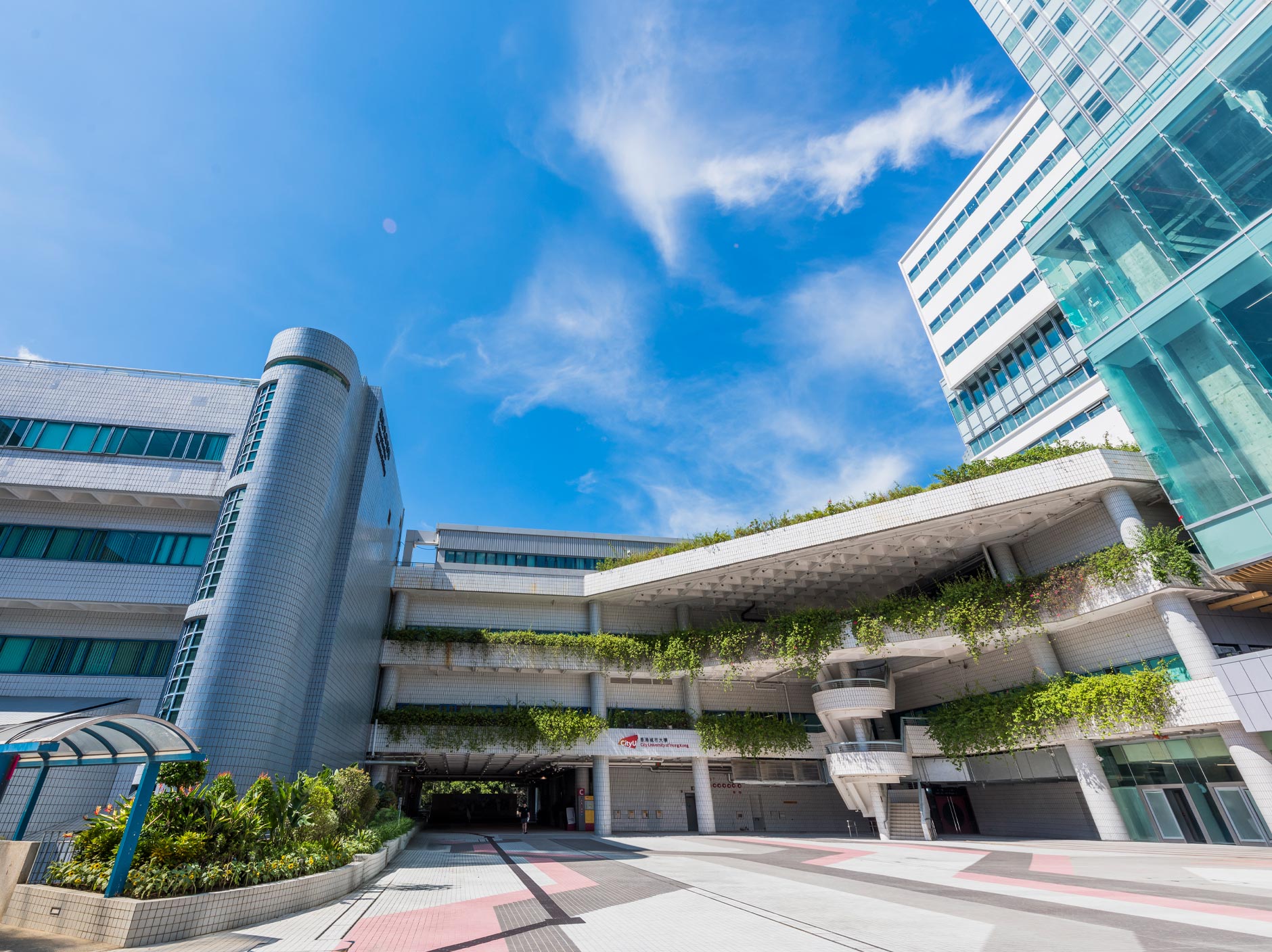 CITYUHK - BAIK ~ Study to China